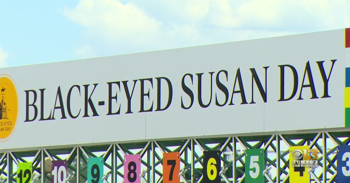 'The Vibe Is The Best Part' After More Than 700 Days, Black Eyed Susan ...