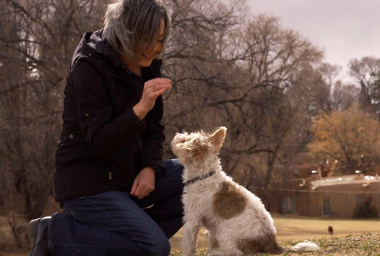One chest of gold, five deaths: The search for Forrest Fenn's treasure ...