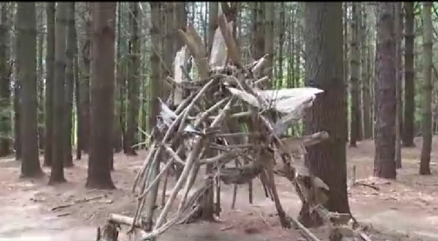 Artist Robin Ruggiero's Dinosaurs A Delight At Allaire State Park - CBS ...