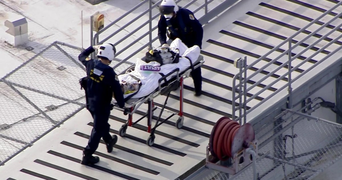 South Florida Man Nearly Electrocuted Trying To Reach Bird's Nest Off ...