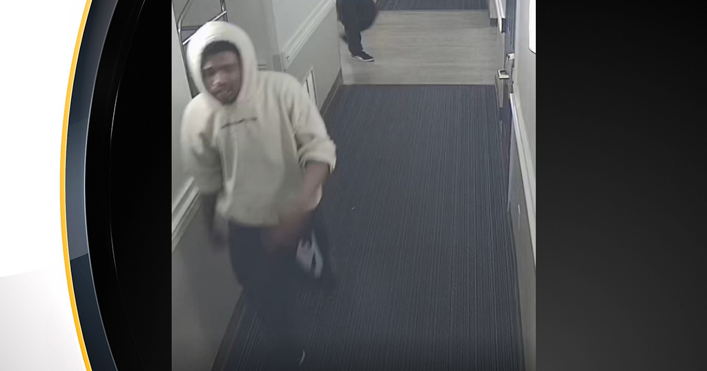 Police: Man Caught On Surveillance Video Brutally Beating Small Dog In ...