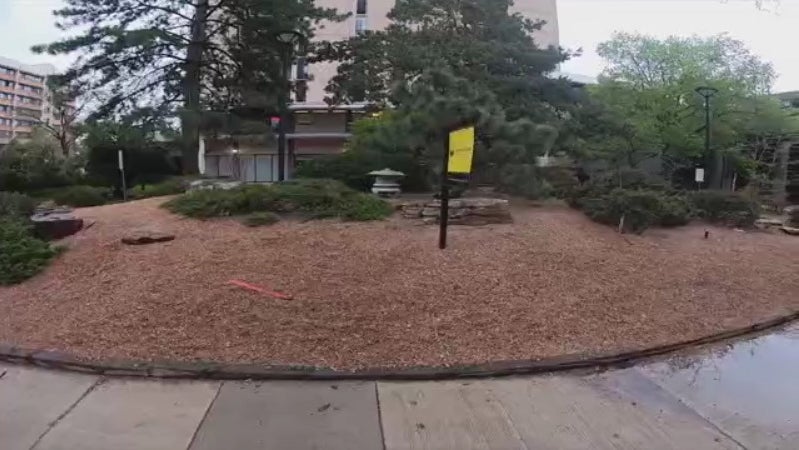 Change Is Coming To Sakura Square, A 'Special Treasure' In Downtown ...