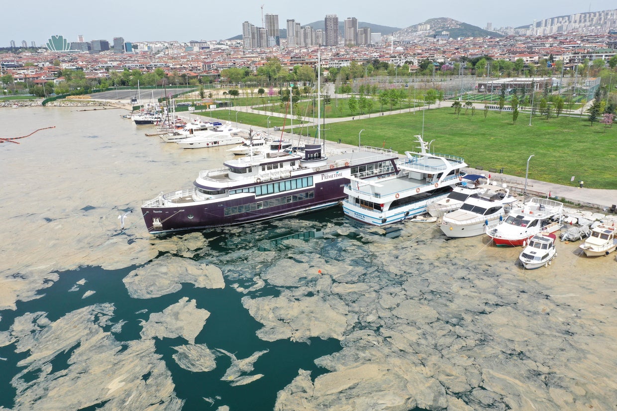 Sea snot choking Turkey's waters could be a warning to the world - CBS News