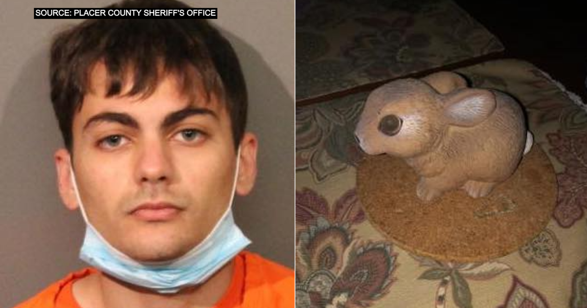 Suspect Who Broke Into Home Using Ceramic Rabbit Held At Gunpoint By ...