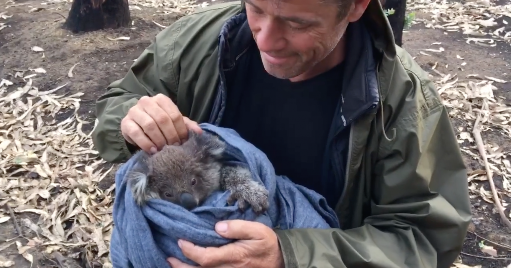 'We Are Rescuing Countless Animals': Doug Thron On Using Drones To Save ...