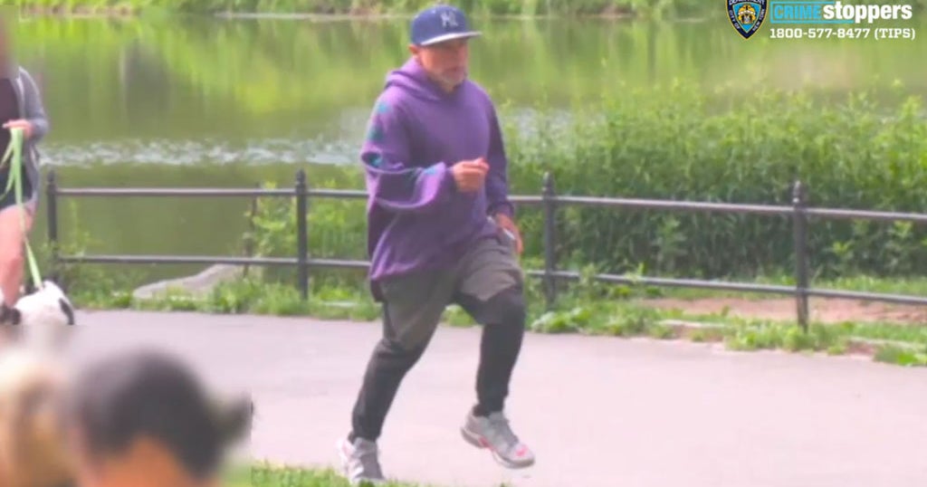 Suspect In Custody After Allegedly Punching Woman In Face During ...