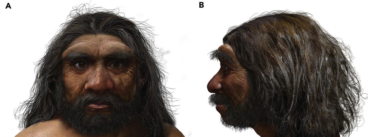 Massive "Dragon Man" skull found in China might be a new human ...