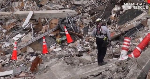 As search continues, investigation seeks causes of Surfside building ...