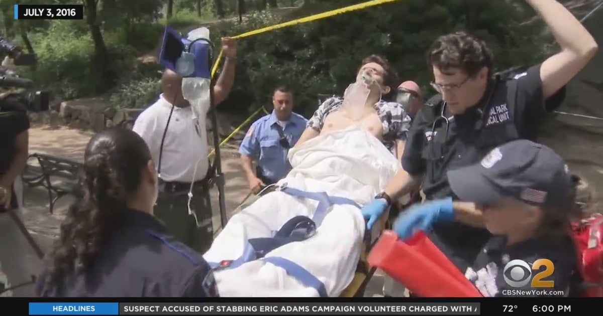 Survivor's Family, NYPD Renew Calls For Information To Solve 2016 Central Park Explosion - CBS ...