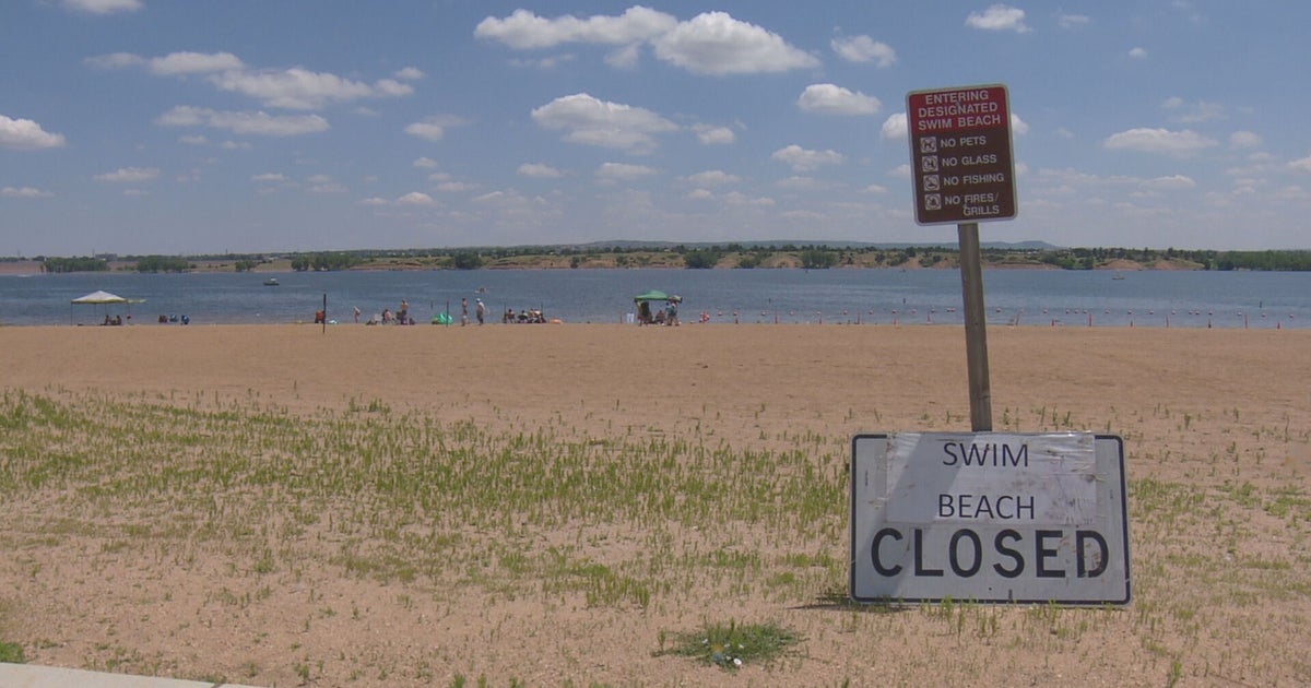 Swim Beach Closed At Chatfield State Park Due To Presence Of E. coli ...