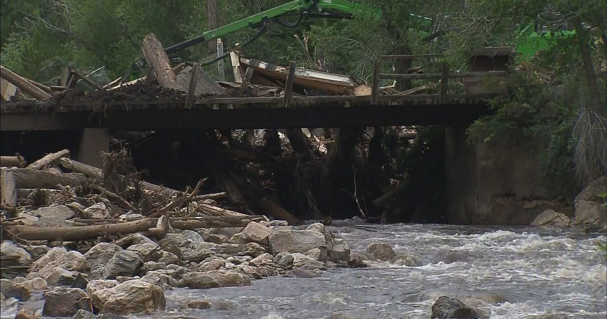 Larimer County Crews To Search For Diana Brown Missing Since Deadly ...