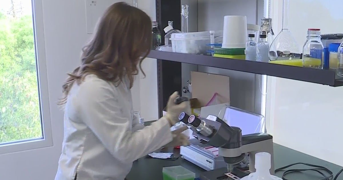 Could Lab-Made Milk Change The Future Of Dairy? - Good Day Sacramento