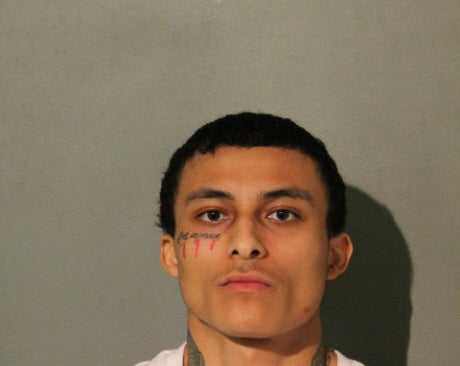 Man gets life without parole for murder of Chicago Police Officer Ella ...