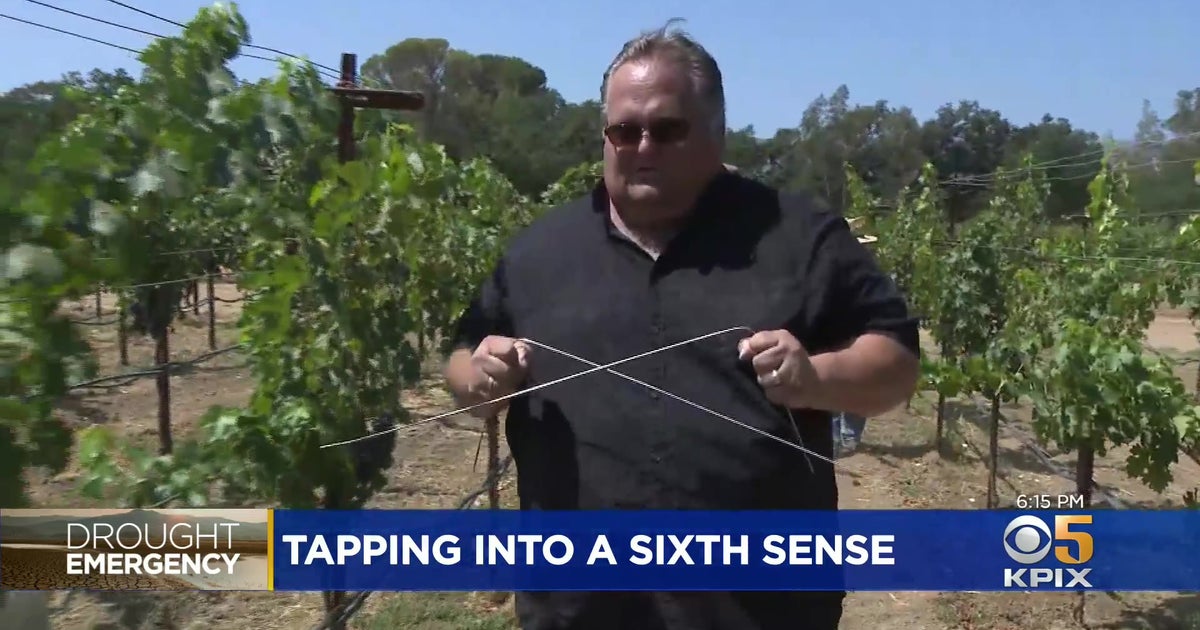 CA Drought: Old-Fashioned Dowser Uses Sixth Sense To Help Napa Farmer ...