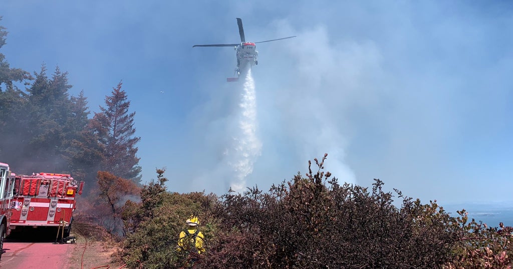 UPDATE: Crews Stop Spread of Brush Fire Near Mount Tamalpais; Hikers ...