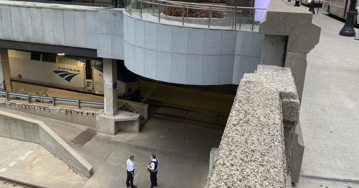 California Murder Suspect Killed In Chicago Amtrak Train Station ...