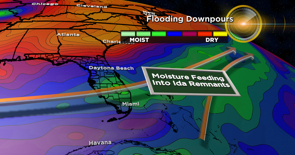 More Flooding Downpours From Slow Moving Storms Possible Friday - CBS Miami