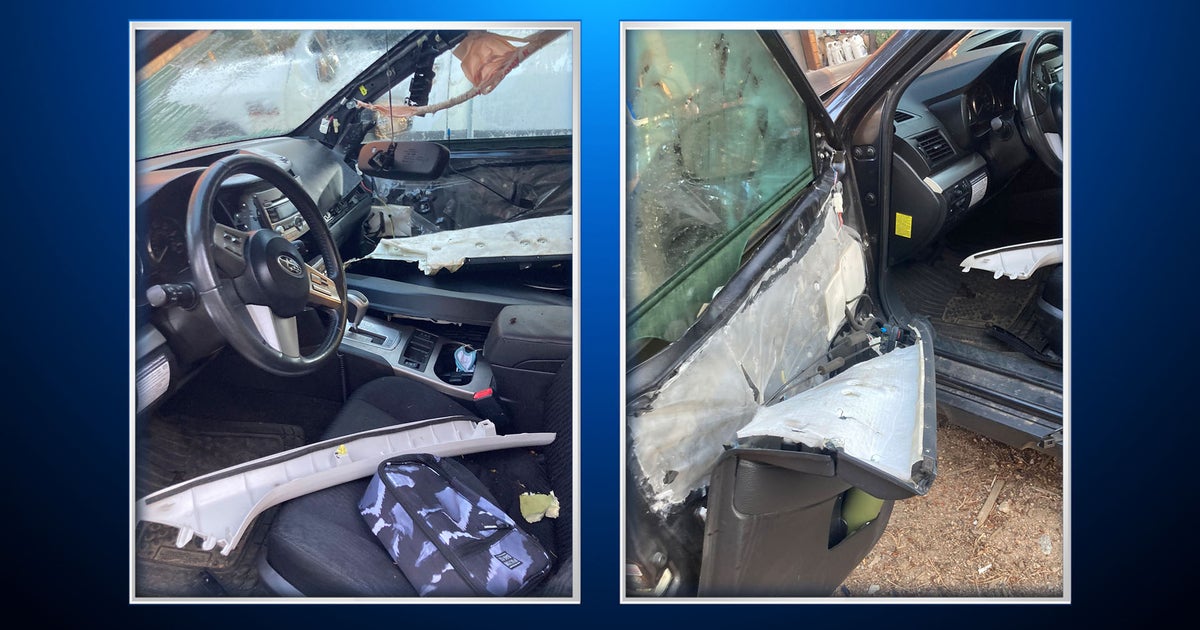Bear Tears Apart Car's Interior After Getting Stuck Inside - CBS Colorado