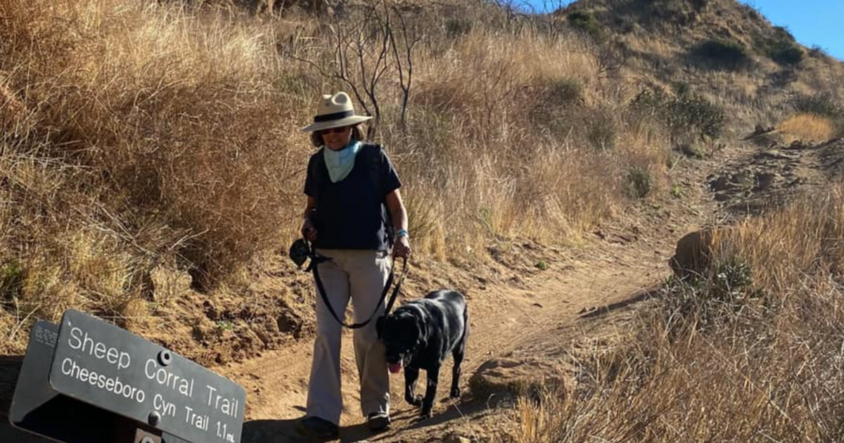 Santa Monica Mountains Conservancy to buy city-owned property in ...