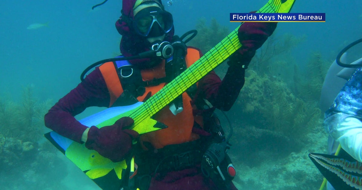 Reef Protection, Eco-Conscious Diving Encouraged During Lower Keys ...