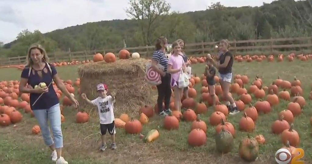 Families Head To Apple Ridge Orchards As Fall Begins - CBS New York
