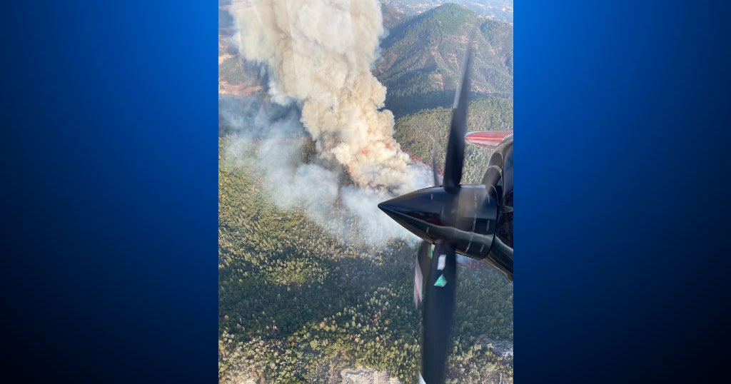 New Wildfire Breaks Out Near Shasta Lake, Quickly Grows to 50 Acres ...