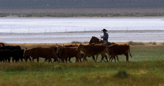 Deep Springs College: Higher education on a remote ranch - CBS News