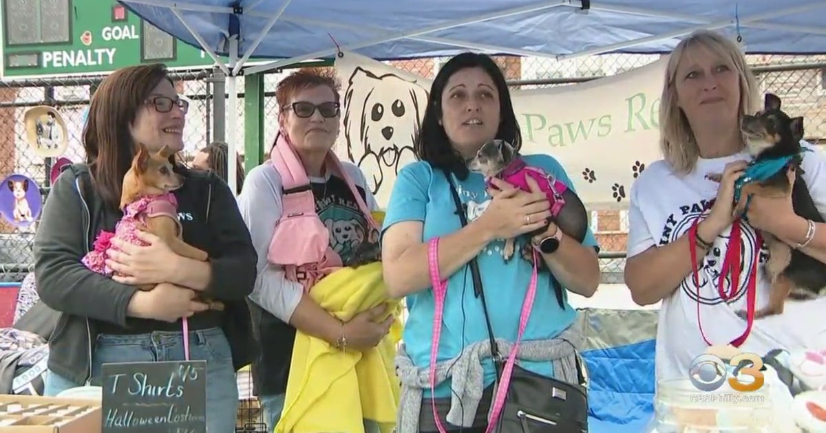 Mums And Mutts Holds Fall Festival In South Philadelphia - CBS Philadelphia