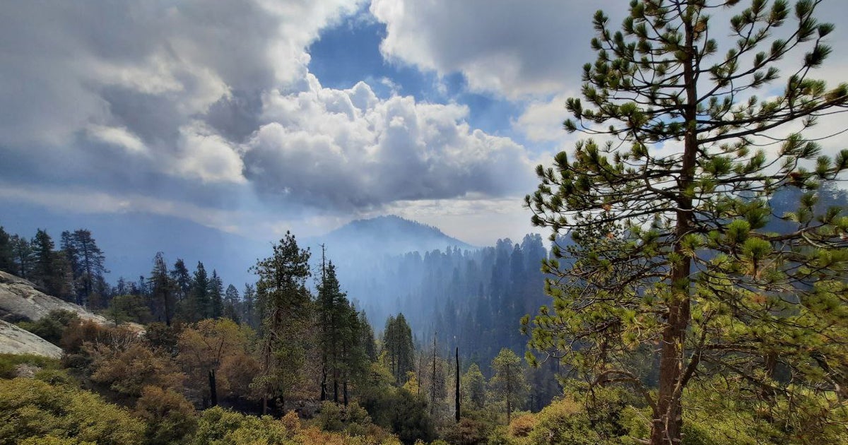 Cooler Weather Helps Firefighters Battling Alisal, KNP Complex Fires ...