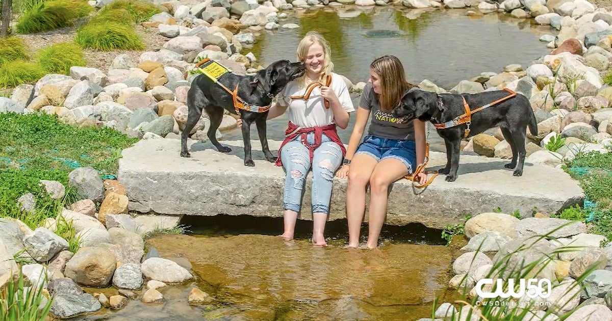 Leader Dogs For The Blind Shares How Dogs Can Be the Ultimate Pair of ...