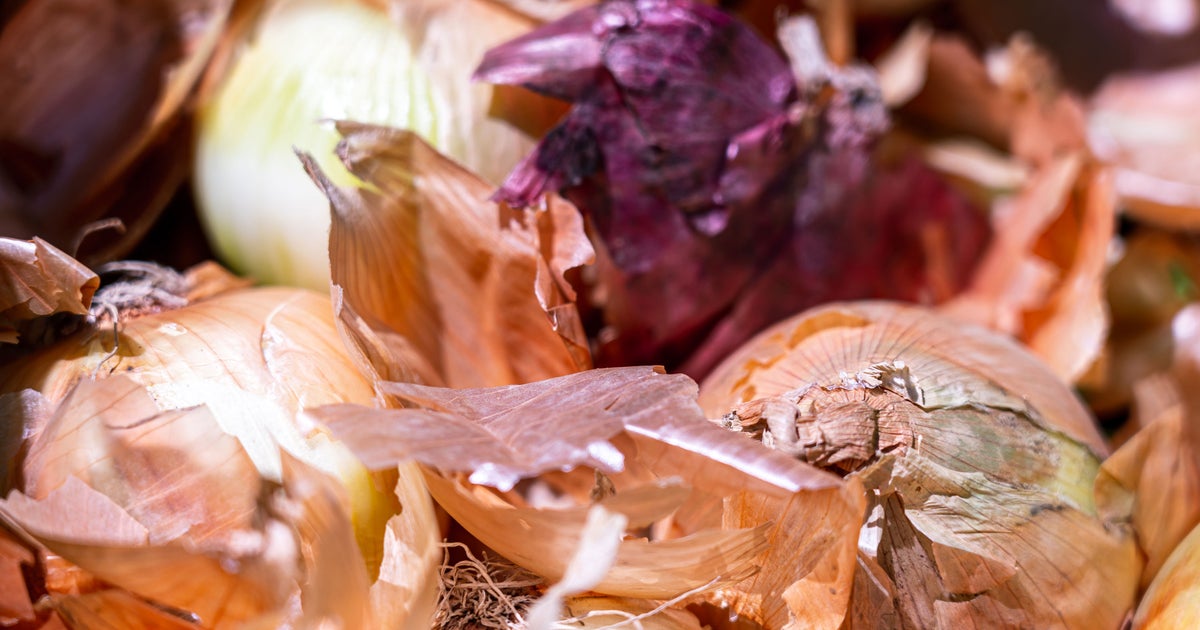 CDC: Salmonella Outbreak Stems From Imported Onions - CBS Miami