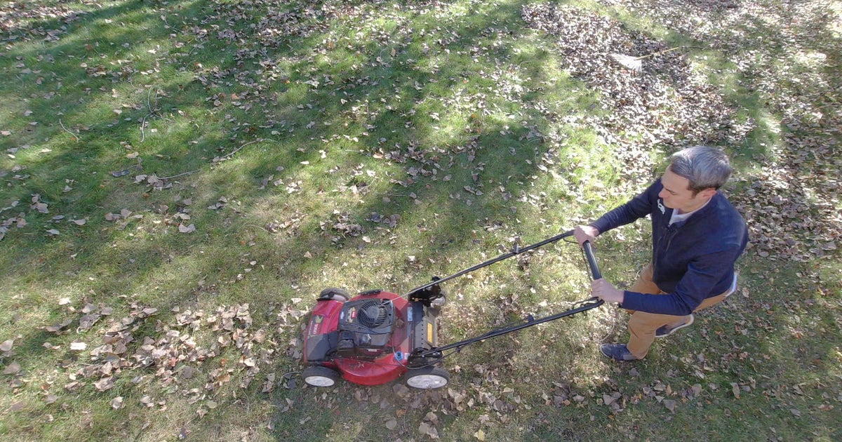 What is proper fall cleanup etiquette? What methods are best for your ...