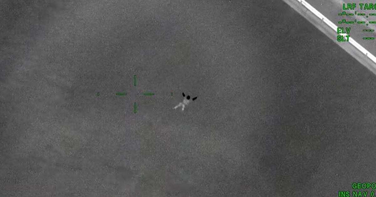 Lee County Sheriff's Office arrests Bryan Gray after he allegedly tried ...