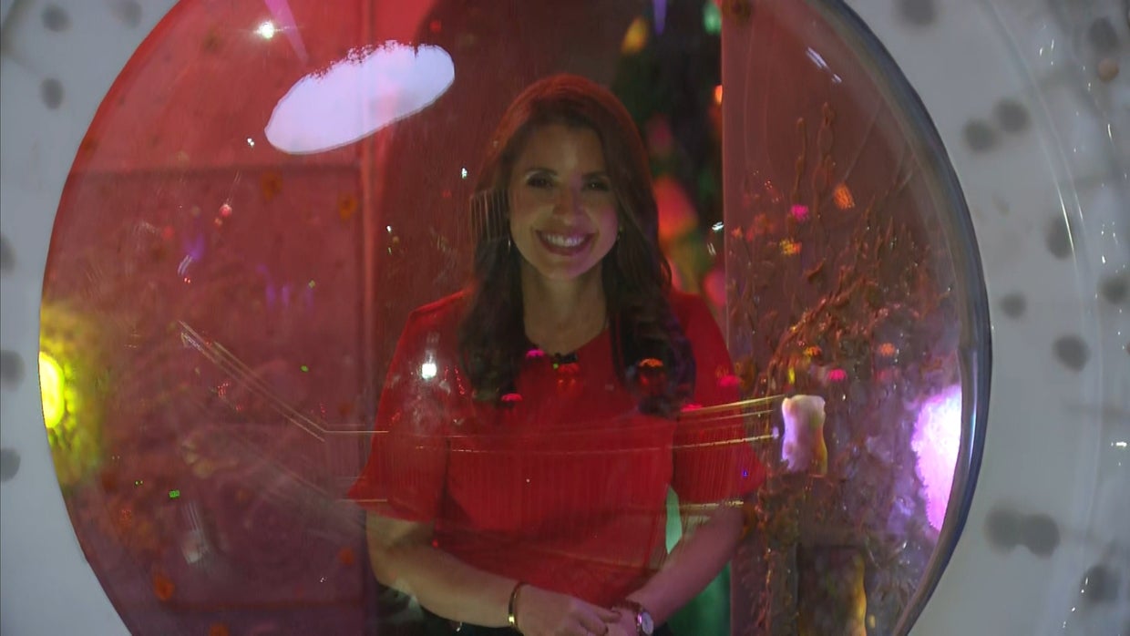CBS4's Michelle Griego Explores Meow Wolf's Convergence Station During ...