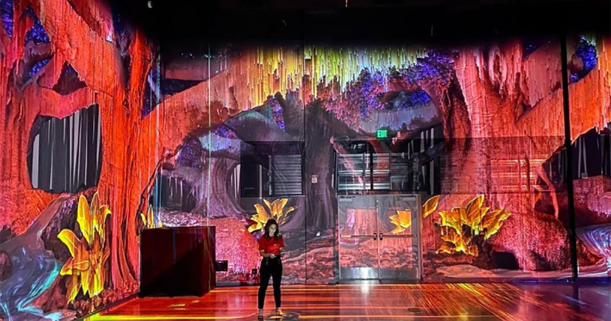 CBS4's Michelle Griego Explores Meow Wolf's Convergence Station During ...