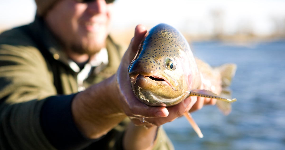 Michigan Department of Natural Resources Asking Anglers To Turn In ...