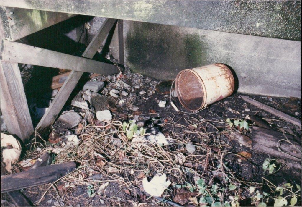 The disappearance of Tanya Van Cuylenborg and Jay Cook: Following a ...