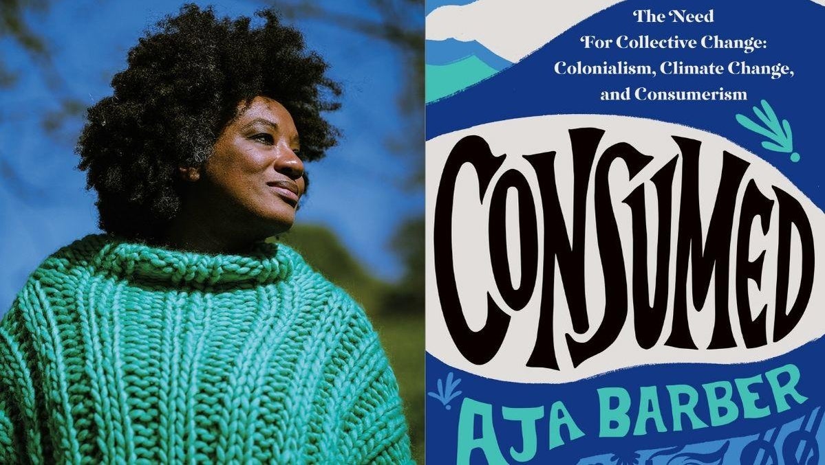 How to be more sustainable this holiday season, according to expert Aja ...