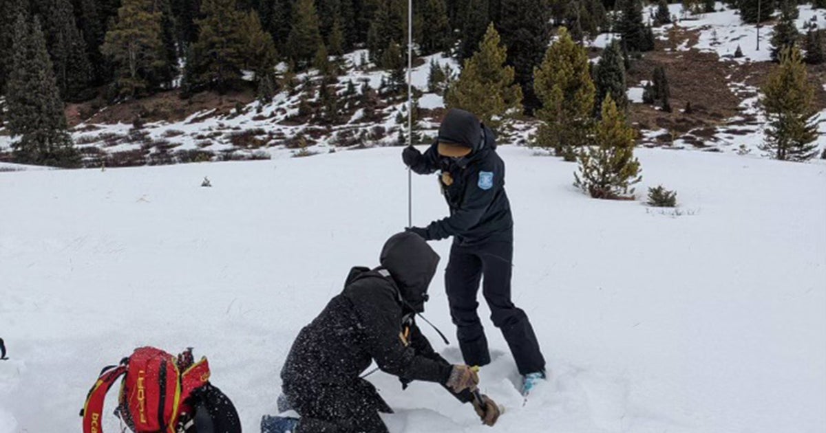 Vail Pass Backcountry Finally Gets Enough Snow To Open For The Season ...