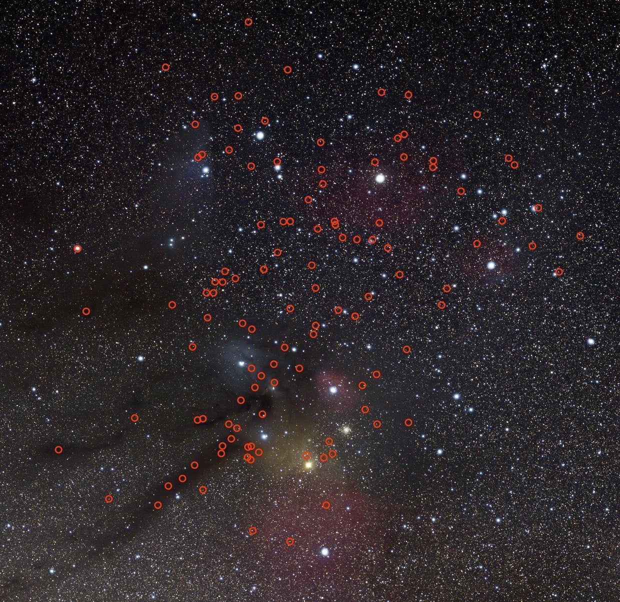 Astronomers discover dozens of "rogue planets" roaming the galaxy ...