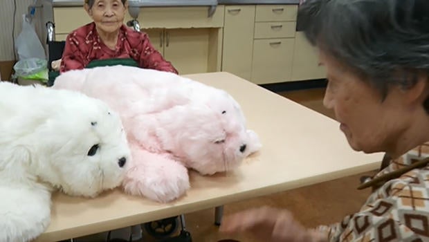 Robo-dogs and therapy bots: Artificial intelligence goes cuddly - CBS News