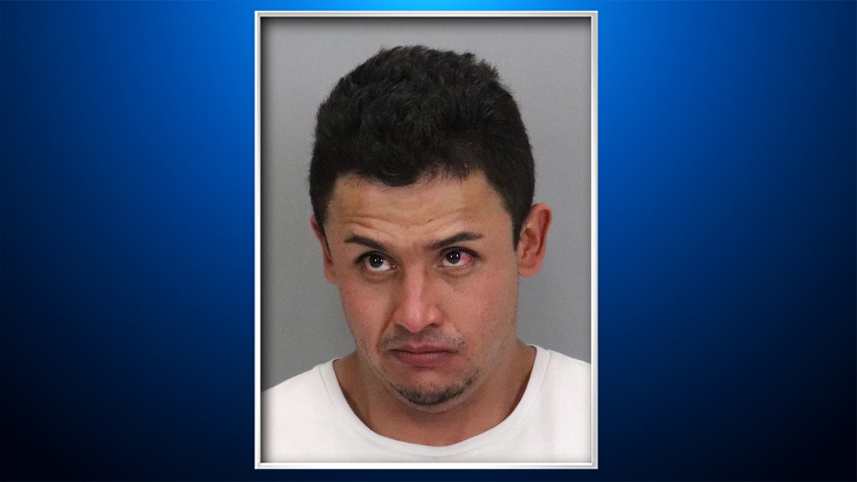 Burglar Breaks Into Palo Alto Home, Attacks Man With Garden Shears ...