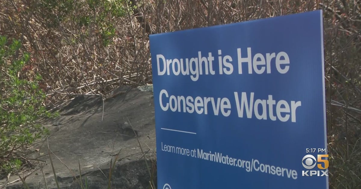 Marin Water Officials May Lift Penalties For Too Much Usage After Wet ...