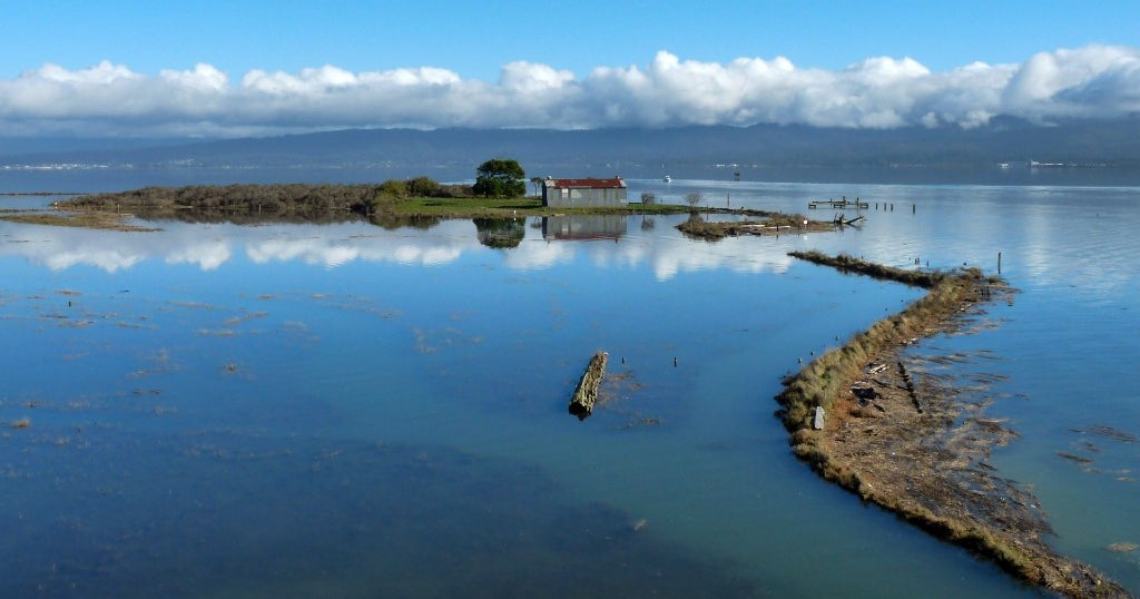UC Berkeley Anthropology Museum Returns 1860 Massacre Remains To Wiyot ...