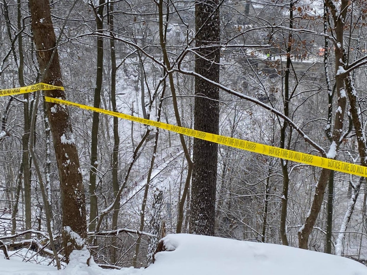 Bridge Collapses In Pittsburgh's Frick Park
