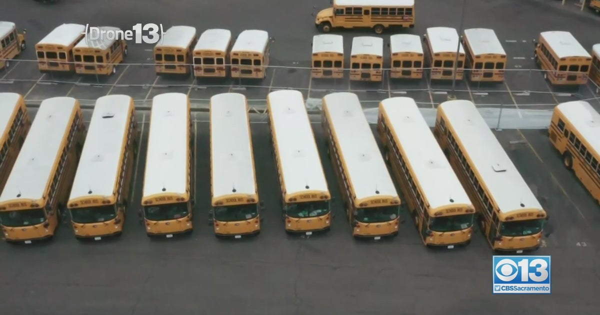Senate Bill Introduces Free School Bus Program For All California K-12 ...