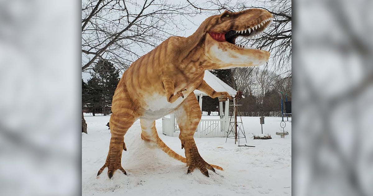 TyrannoSNOWrus! Dinosaur Sculpture Wows Becker Neighborhood - CBS Minnesota