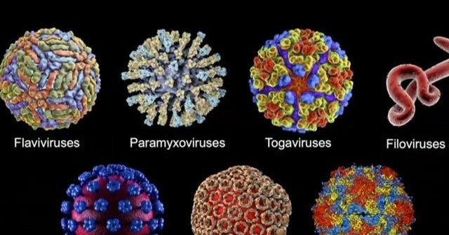 Inside the CDC's efforts to track new COVID variants - CBS News