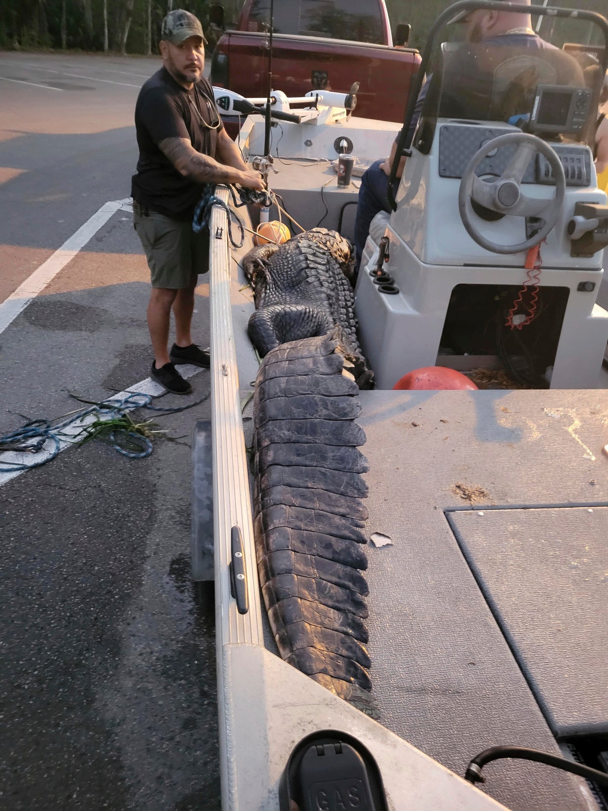 Alligator that menaced paddleboarder in viral video is killed by ...