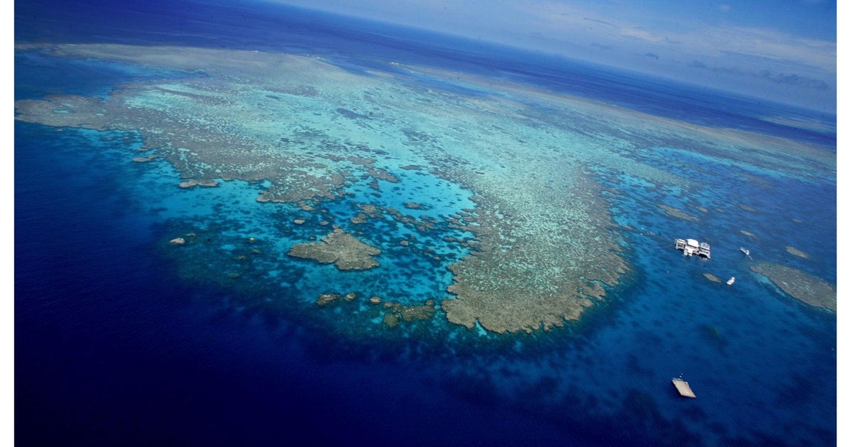 "Disastrous news": Great Barrier Reef again hit with "widespread ...